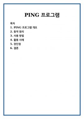 PING 프로그램 레포트 자료-1페이지