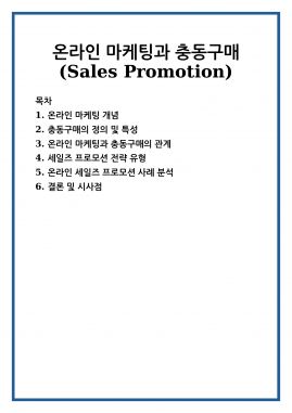 온라인 마케팅과 충동구매 (Sales Promotion)-1페이지