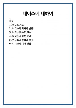네이스에 대하여-1페이지