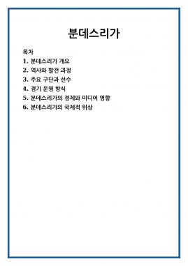 분데스리가 레포트 자료-1페이지