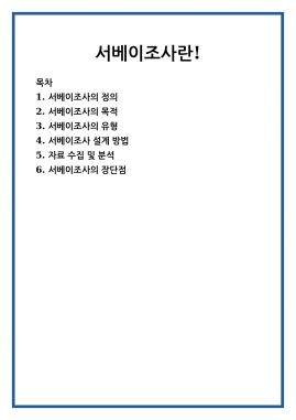 서베이조사란!-1페이지