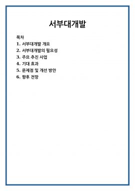 서부대개발 레포트 자료-1페이지