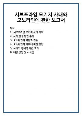 서브프라임 모기지 사태와 모노라인에 관한 보고서-1페이지