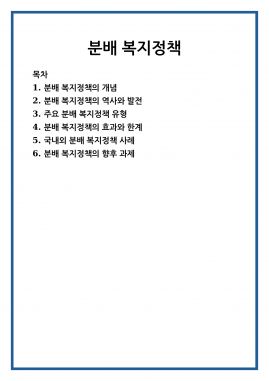 분배 복지정책-1페이지