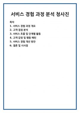 서비스 경험 과정 분석 청사진-1페이지