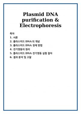 Plasmid DNA purification & Electrophoresis-1페이지