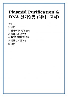 Plasmid Purification & DNA 전기영동 (예비보고서)-1페이지