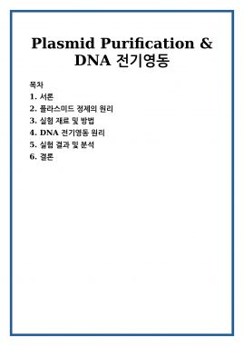 Plasmid Purification & DNA 전기영동-1페이지