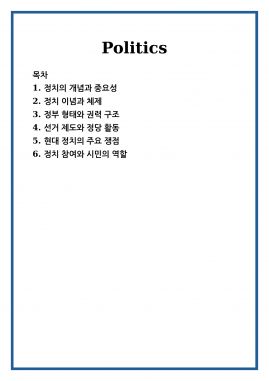Politics 레포트 자료-1페이지