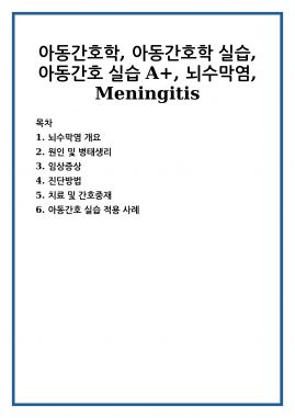 아동간호학, 아동간호학 실습, 아동간호 실습 , 뇌수막염, Meningitis-1페이지