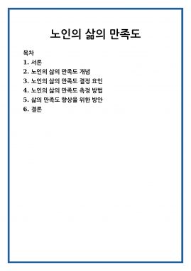 노인의 삶의 만족도-1페이지