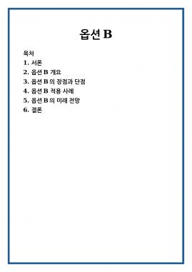 옵션B 레포트 자료-1페이지