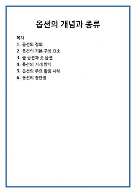 옵션의 개념과 종류-1페이지