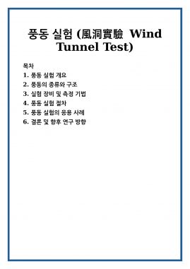 풍동 실험 (風洞實驗  Wind Tunnel Test)-1페이지