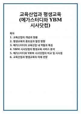 교육산업과 평생교육(메가스터디와 YBM 시사닷컴)-1페이지