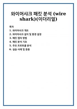 와이어샤크 패킷 분석 (wire shark)(이더리얼)-1페이지