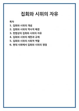 집회와 시위의 자유-1페이지