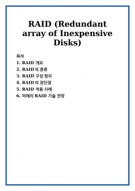 RAID (Redundant array of Inexpensive Disks)-1페이지