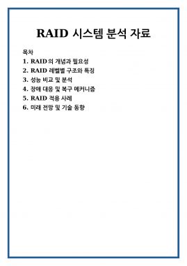 RAID 시스템 분석 자료-1페이지