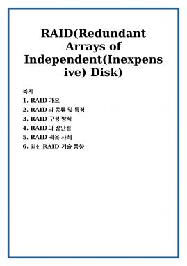 RAID(Redundant Arrays of Independent(Inexpensive) Disk)-1페이지