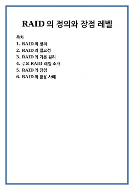 RAID의 정의와 장점 레벨-1페이지