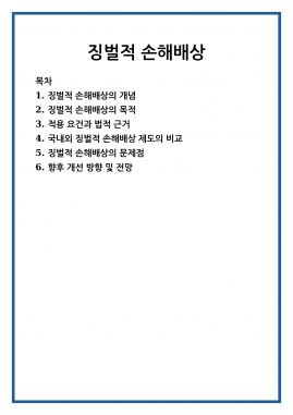 징벌적 손해배상-1페이지