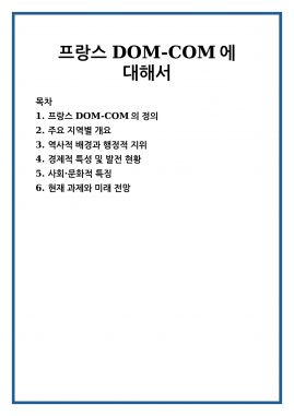 프랑스 DOM-COM에 대해서-1페이지