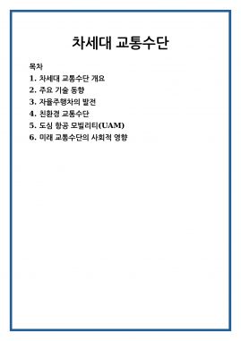 차세대 교통수단-1페이지