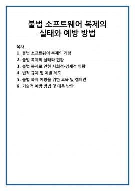 불법 소프트웨어 복제의 실태와 예방 방법-1페이지