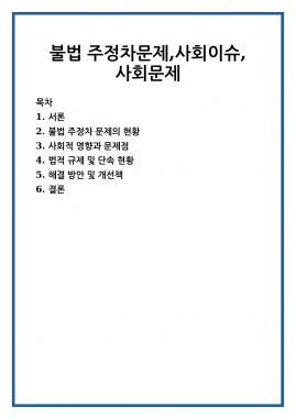 불법 주정차문제,사회이슈,사회문제-1페이지