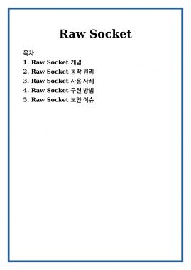 Raw Socket 레포트 자료-1페이지