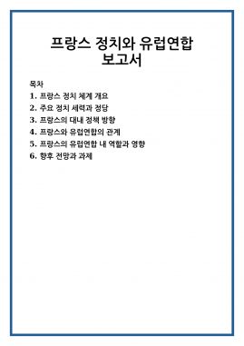 프랑스 정치와 유럽연합 보고서-1페이지