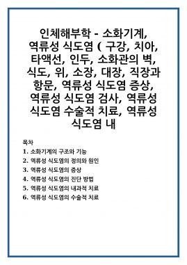 인체해부학 - 소화기계, 역류성 식도염 ( 구강, 치아, 타액선, 인두, 소화관의 벽, 식도, 위, 소장, 대장, 직장과 항문, 역류성 식도염 증상, 역류성 식도염 검사, 역류성 식도염 수술적 치료, 역류성 식도염 내-1페이지