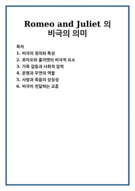 Romeo and Juliet 의 비극의 의미-1페이지