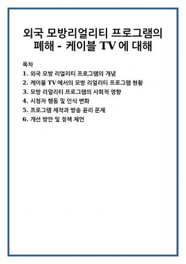 외국 모방리얼리티 프로그램의 폐해 - 케이블 TV에 대해-1페이지