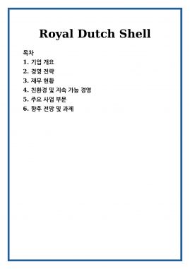 Royal Dutch Shell 레포트 자료-1페이지