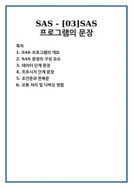SAS - [03]SAS 프로그램의 문장-1페이지