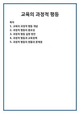 교육의 과정적 평등-1페이지