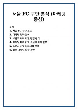 서울 FC 구단 분석 (마케팅 중심)-1페이지