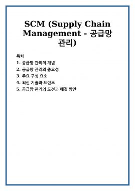 SCM (Supply Chain Management - 공급망 관리)-1페이지