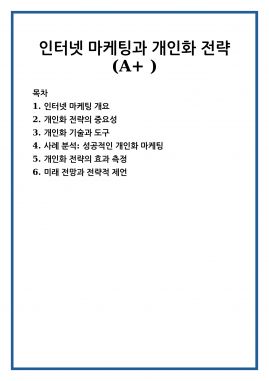 인터넷 마케팅과 개인화 전략-1페이지