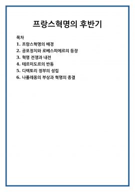 프랑스혁명의 후반기-1페이지