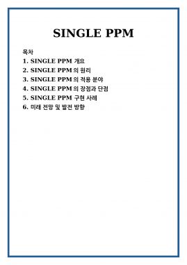 SINGLE PPM 레포트 자료-1페이지