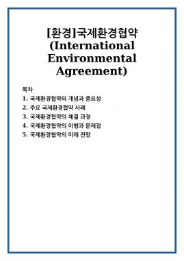 [환경]국제환경협약(International Environmental Agreement)-1페이지