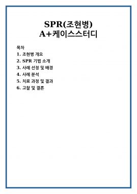 SPR(조현병) 케이스스터디-1페이지