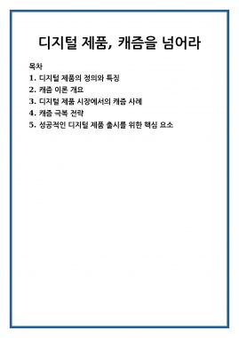 디지털 제품, 캐즘을 넘어라-1페이지