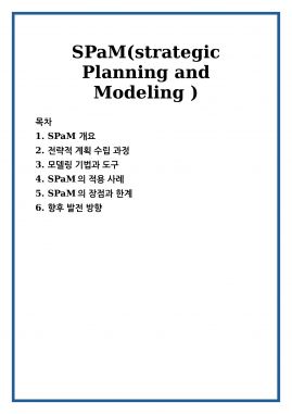 SPaM(strategic Planning and Modeling )-1페이지