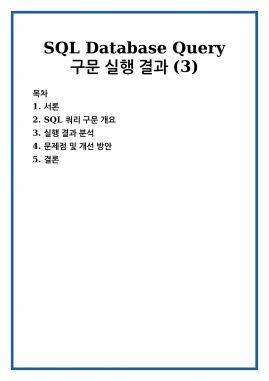 SQL Database Query 구문 실행 결과 (3)-1페이지