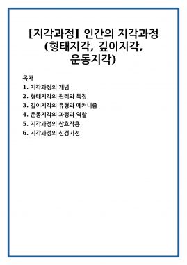 [지각과정] 인간의 지각과정(형태지각, 깊이지각, 운동지각)-1페이지