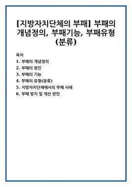 [지방자치단체의 부패] 부패의 개념정의, 부패기능, 부패유형(분류)-1페이지